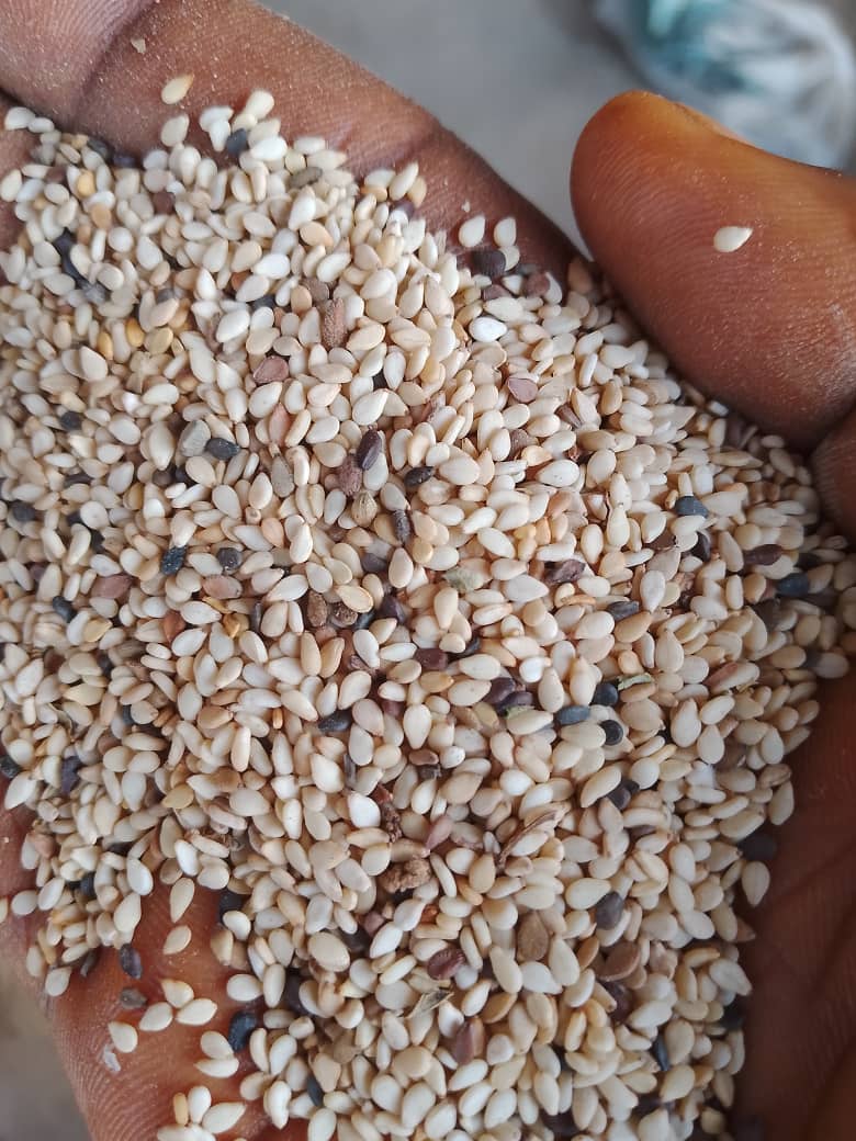 Humfhriesglobalventures